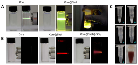 Highly Red Light-Emitting Erbium- and Lutetium-Doped Core-Shell Upconverting Nanoparticles ...