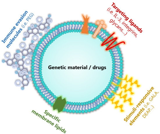 Extracellular Vesicles as Drug Delivery Systems in Cancer