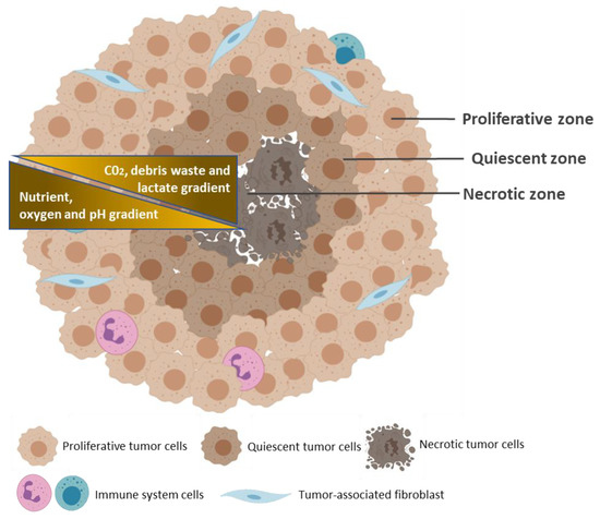 Three-Dimensional Spheroids as In Vitro Preclinical Models for Cancer ...