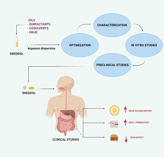 Nano Drug Delivery System