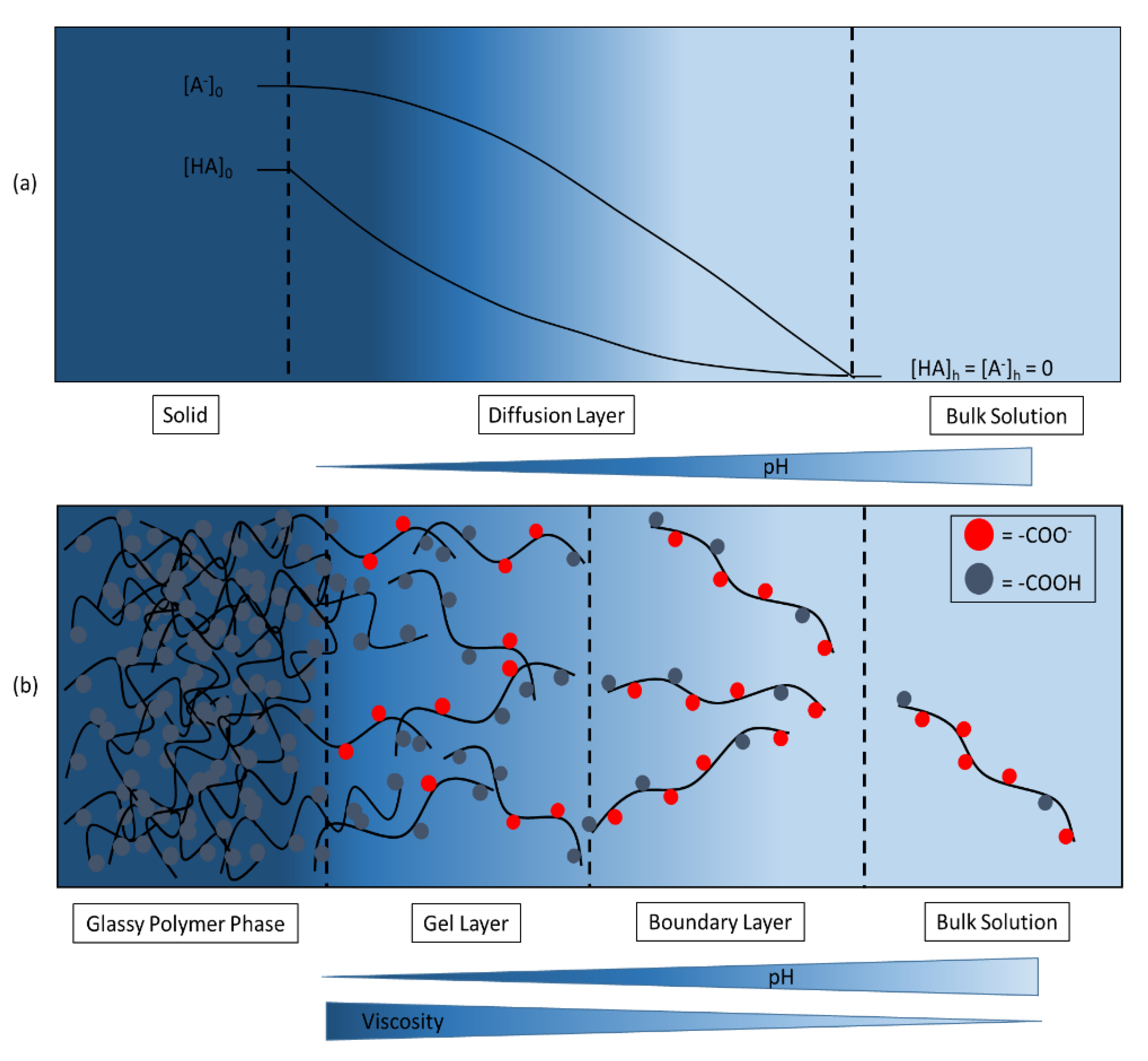 Toward Mechanistic Design of Surrogate Buffers for Dissolution Testing ...