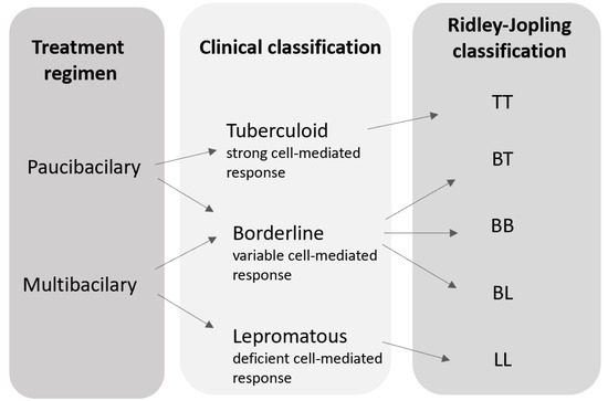 Drug Delivery Systems on Leprosy Therapy: Moving Towards Eradication?