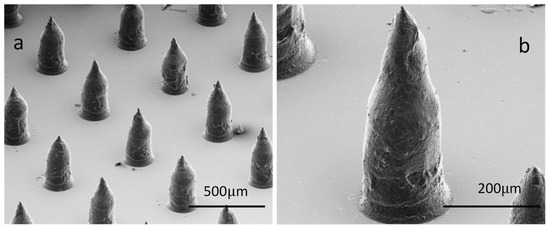 Characterisation of Drug Delivery Efficacy Using Microstructure ...