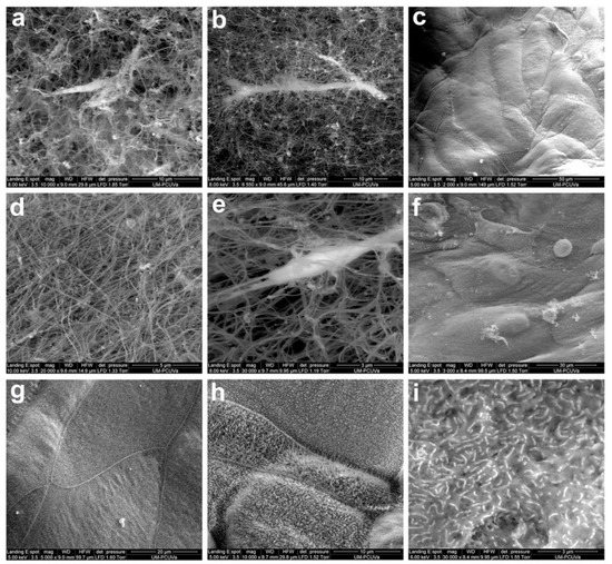 Three-Dimensional Human Cell Culture Models to Study the ...