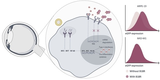 Pharmaceutics | Free Full-Text | Vaccinia Virus Protein B18R: Influence ...