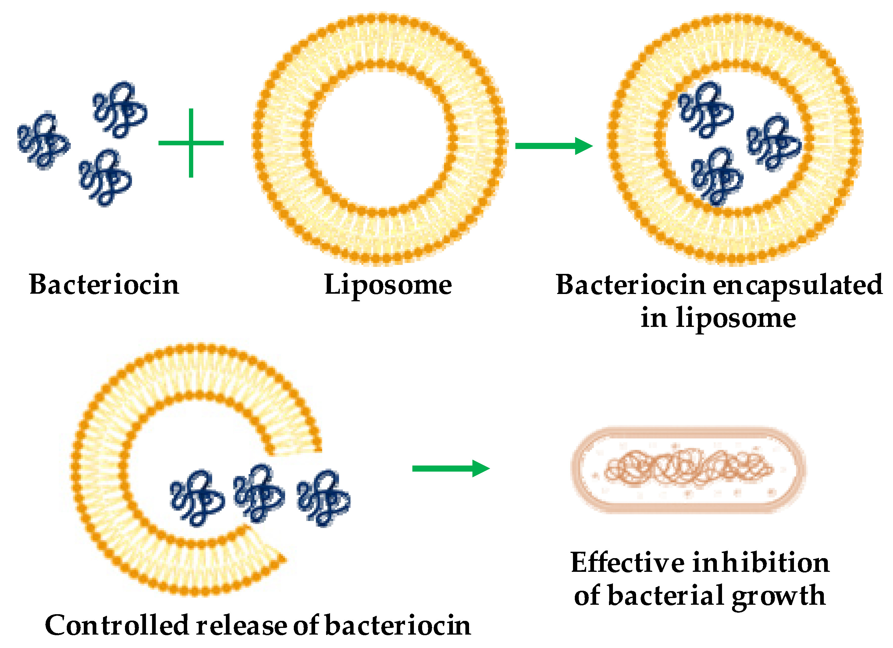 Potential Novel Food-Related and Biomedical Applications of ...