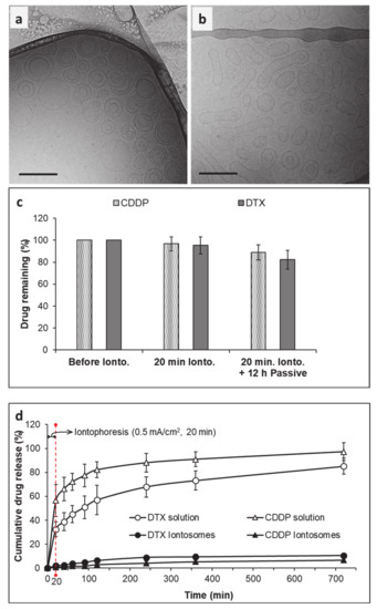 Pharmaceutics | Special Issue : New Formulations for Cancer Therapy