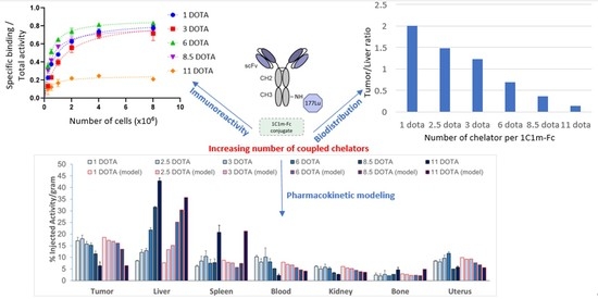Pharmaceutics | Free Full-Text | Impact of DOTA Conjugation on Pharmacokinetics and ...
