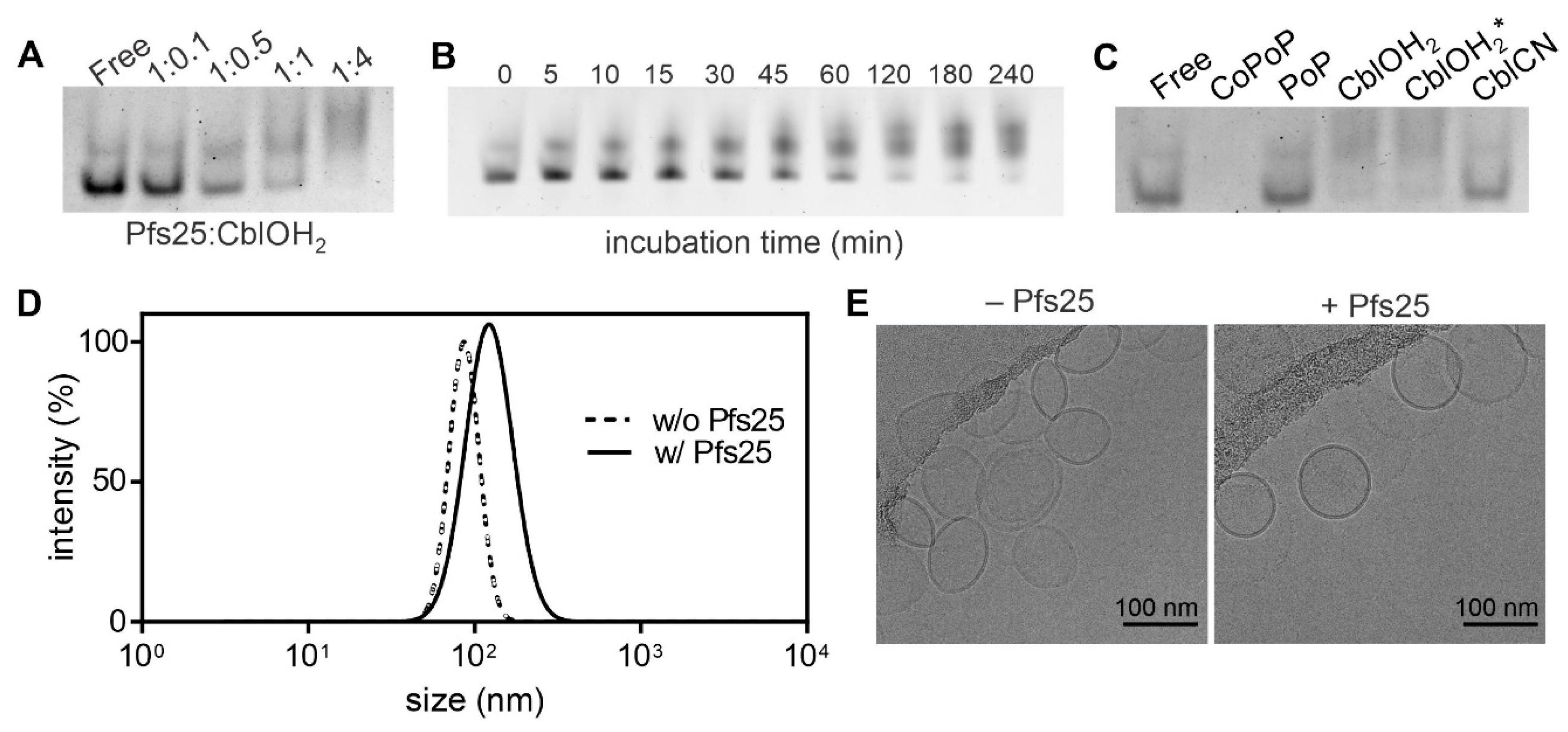 Experimental and Computational Observations of Immunogenic Cobalt ...
