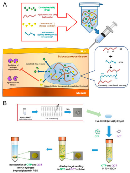 Hyaluronidase Inhibitor-Incorporated Cross-Linked Hyaluronic Acid ...