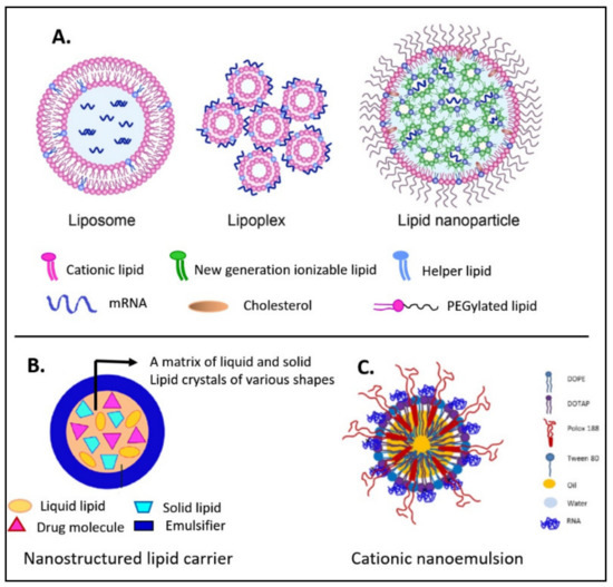 Pharmaceutics | Free Full-Text | Lipid Nanoparticles as Delivery Systems for RNA-Based Vaccines