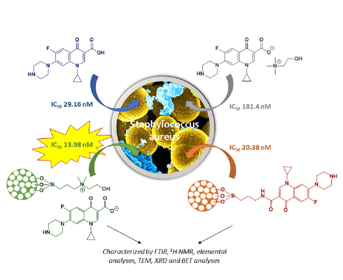 Pharmaceutics | Free Full-Text | Boosting Antimicrobial Activity of ...