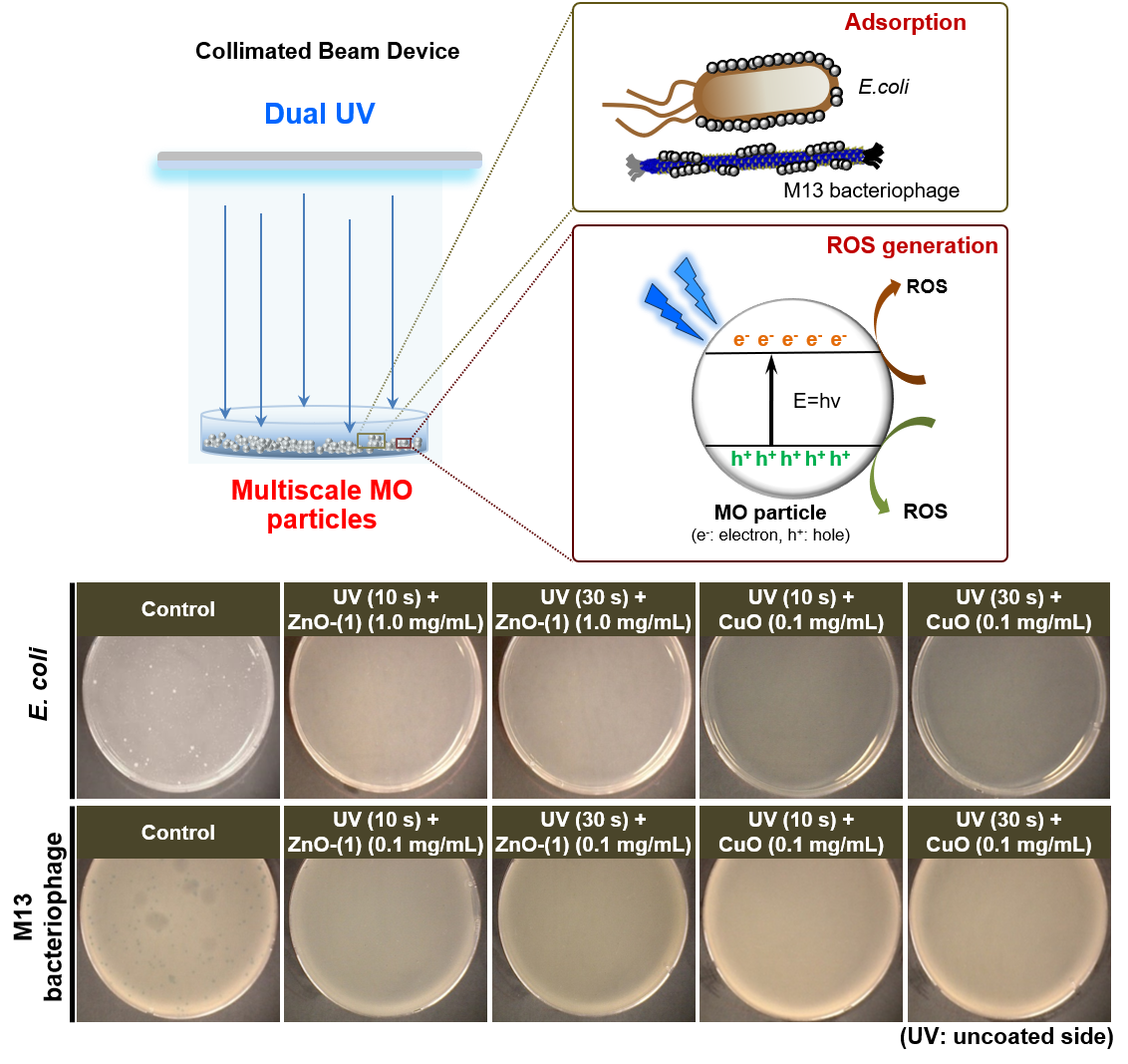 Pharmaceutics | Free Full-Text | Multiscale Metal Oxide Particles to ...