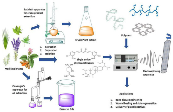 Nanotechnologies: An Innovative Tool to Release Natural Extracts with ...
