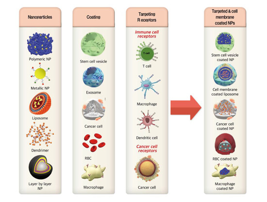 Pharmaceutics | Free Full-Text | Bio-Inspired and Smart Nanoparticles for Triple Negative Breast ...