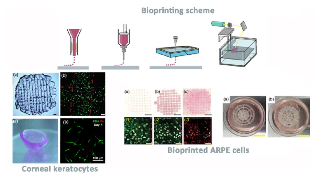 Pharmaceutics | Free Full-Text | Current Insights into 3D Bioprinting ...