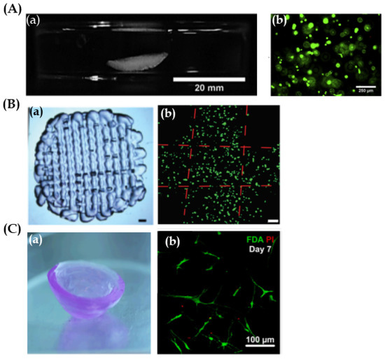 Current Insights into 3D Bioprinting: An Advanced Approach for Eye ...