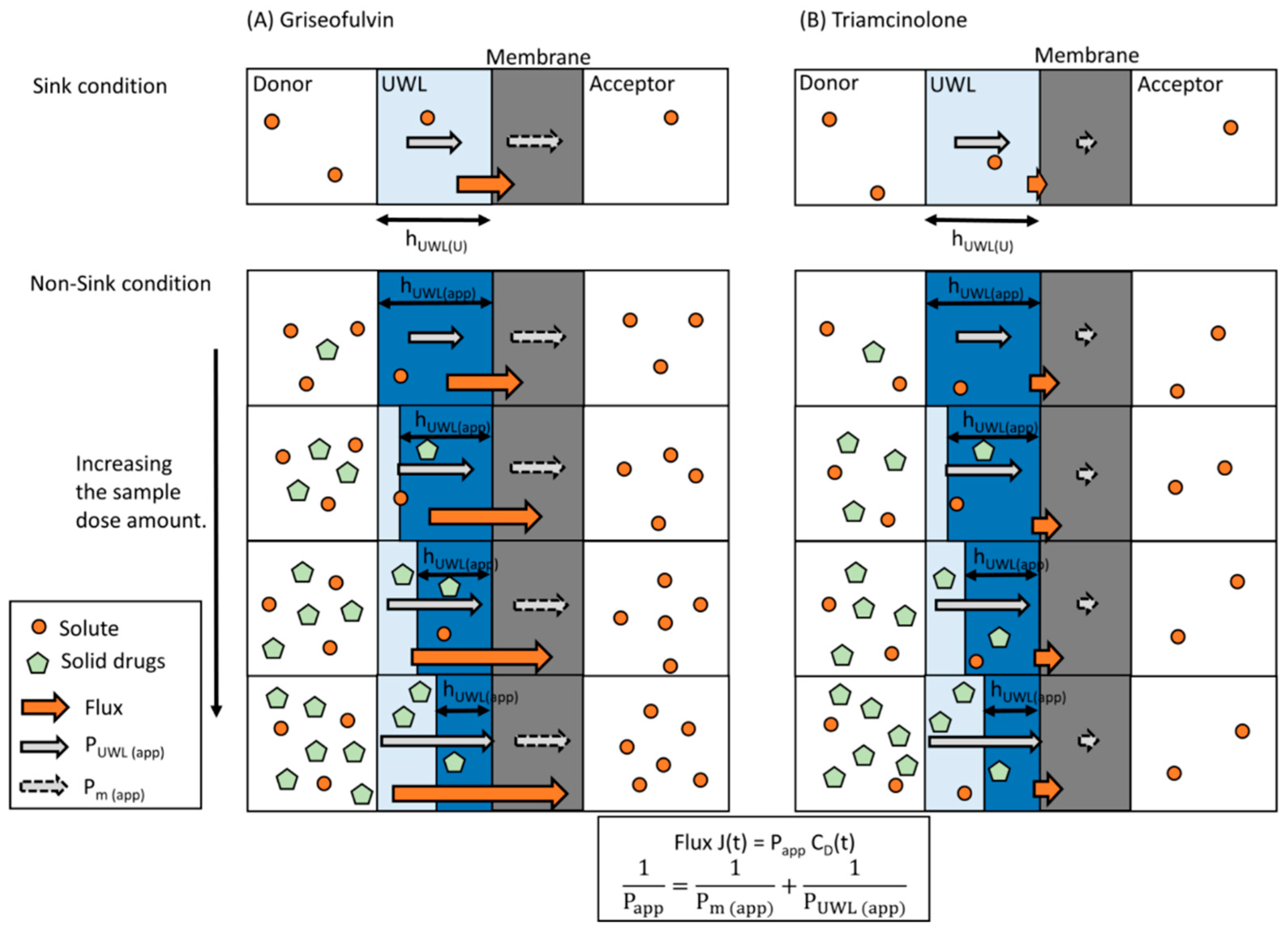 Dose-Dependent Solubility–Permeability Interplay for Poorly Soluble ...