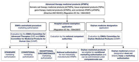 Advanced Therapy Medicinal Products for the Eye: Definitions and ...
