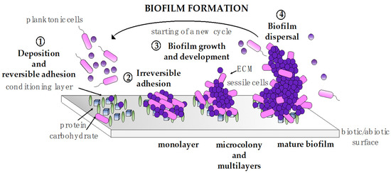 Recent Advances in Biomedical, Therapeutic and Pharmaceutical ...