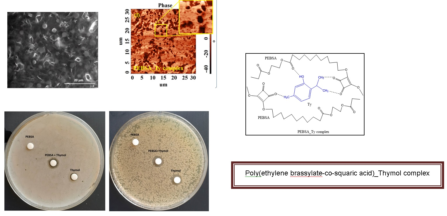 Pharmaceutics | Free Full-Text | Synthesis of Poly(Ethylene Brassylate ...