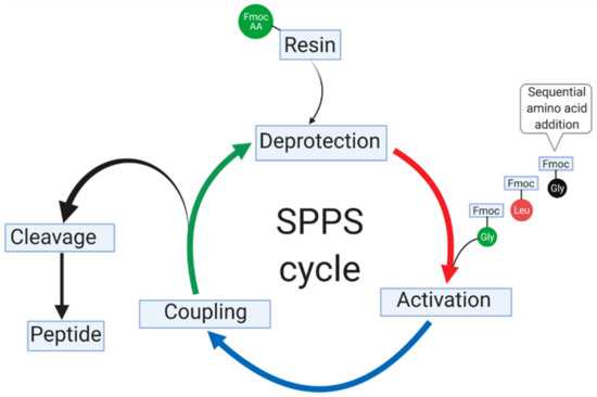Peptide-Based Strategies for Targeted Tumor Treatment and Imaging