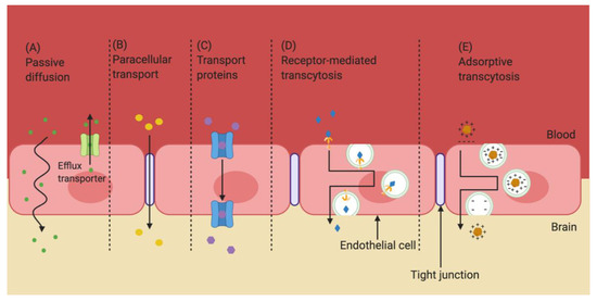 Delivery of Therapeutic Agents to the Central Nervous System and the ...