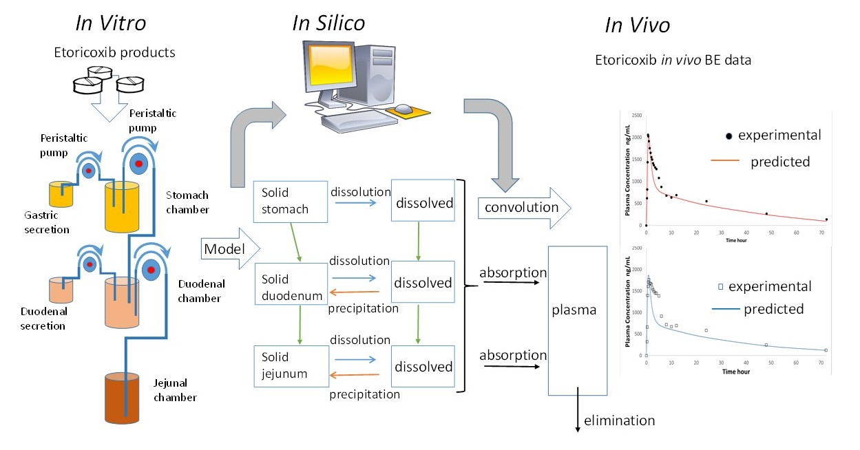 Pharmaceutics | Free Full-Text | An In Vivo Predictive Dissolution ...