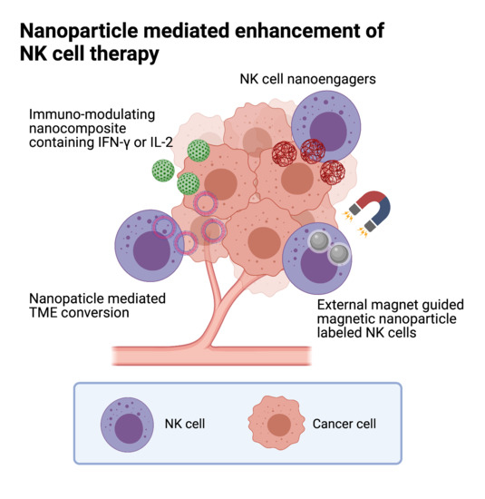 Pharmaceutics | Free Full-Text | Recent Advances to Augment NK Cell Cancer Immunotherapy Using ...