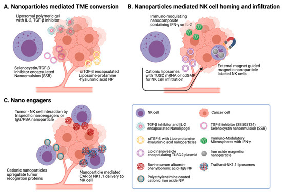 Recent Advances to Augment NK Cell Cancer Immunotherapy Using Nanoparticles
