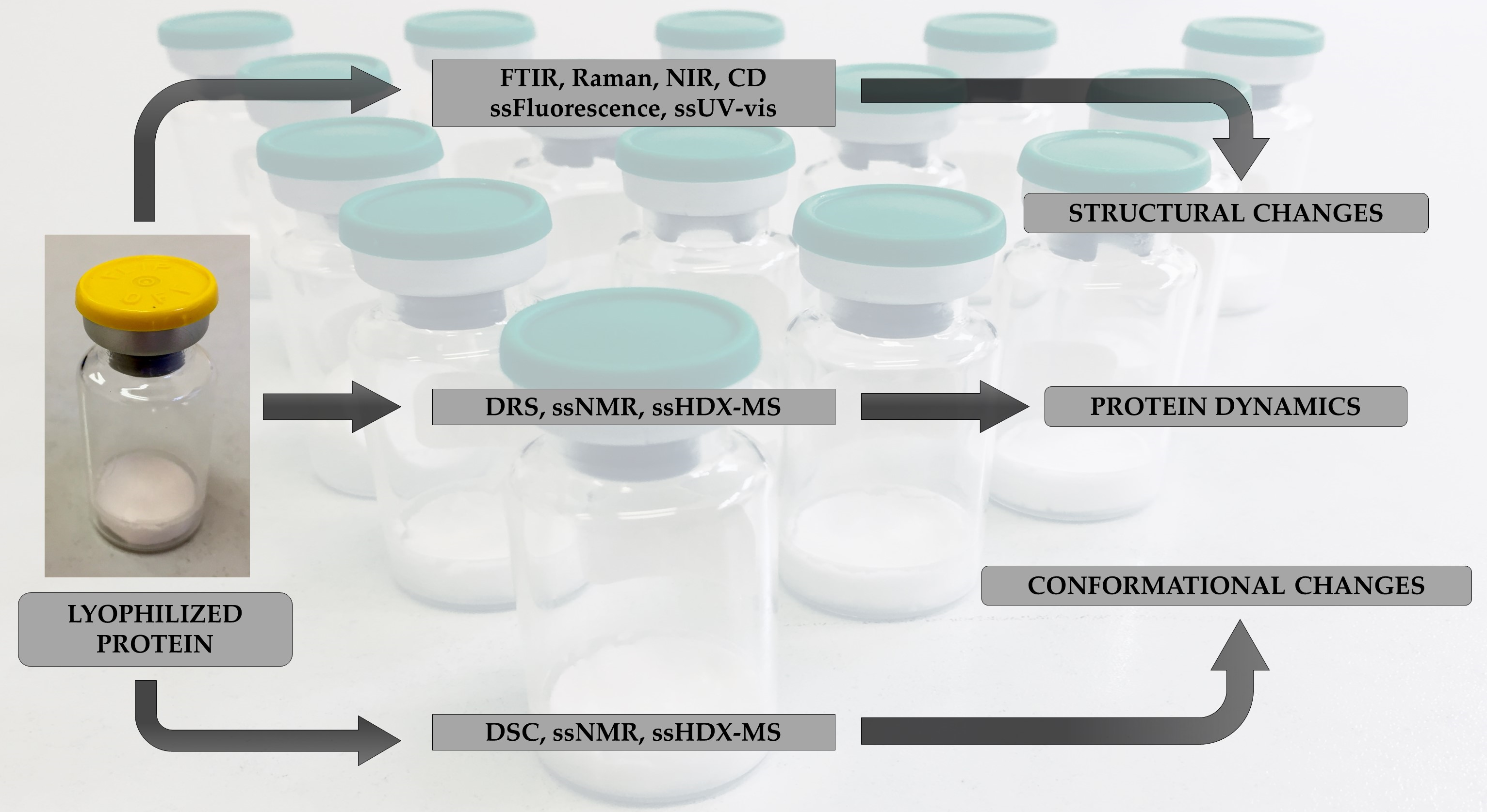 Pharmaceutics | Free Full-Text | Analytical Techniques for Structural ...