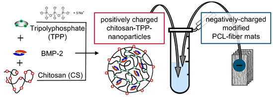 ELISA- and Activity Assay-Based Quantification of BMP-2 Released In ...