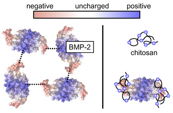 ELISA- and Activity Assay-Based Quantification of BMP-2 Released In ...