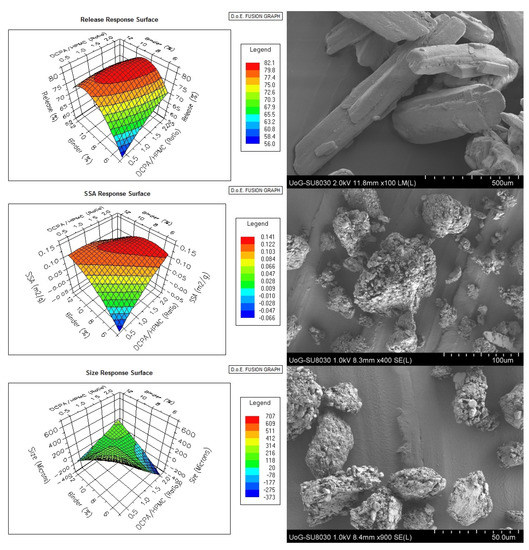 Advances in Twin-Screw Granulation Processing