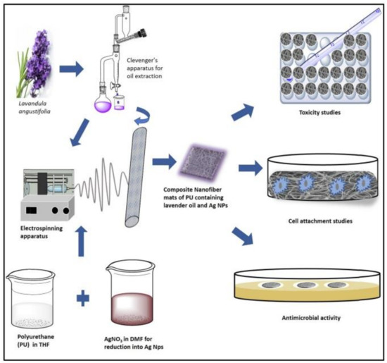 Polymeric Carriers Designed for Encapsulation of Essential Oils with ...