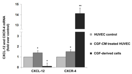 Angiogenic Properties of Concentrated Growth Factors (CGFs): The Role ...