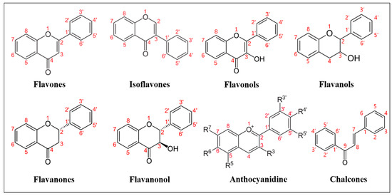 Interactions with Microbial Proteins Driving the Antibacterial Activity ...