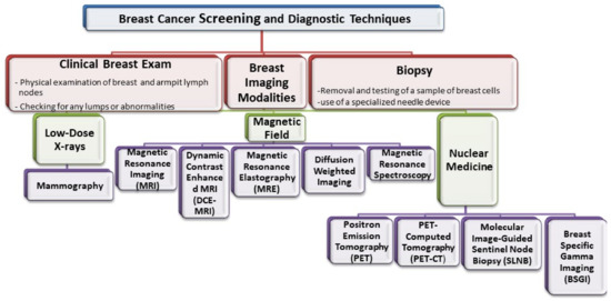 Pharmaceutics | Free Full-Text | Current State of Breast Cancer ...