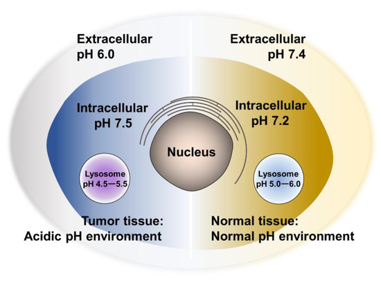 Recent Advances in pH- or/and Photo-Responsive Nanovehicles