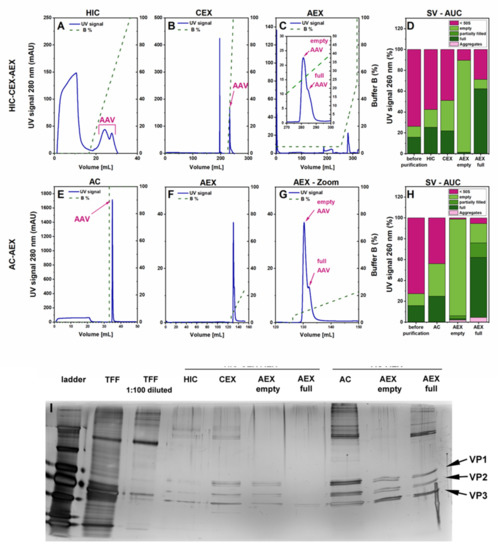 Comparison of Different Liquid Chromatography-Based Purification ...