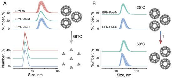 Reprogramming Extracellular Vesicles for Protein Therapeutics Delivery