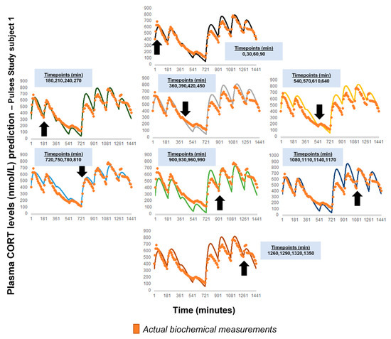 Modelling Hydrocortisone Pharmacokinetics on a Subcutaneous Pulsatile ...