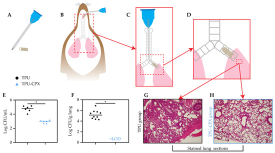 Coupling Additive Manufacturing with Hot Melt Extrusion Technologies to ...