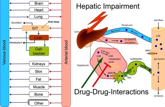 Pharmaceutics | Free Full-Text | Physiologically Based Pharmacokinetic ...