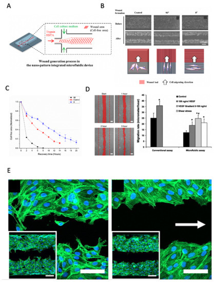 Microfluidic and Lab-on-a-Chip Systems for Cutaneous Wound Healing Studies
