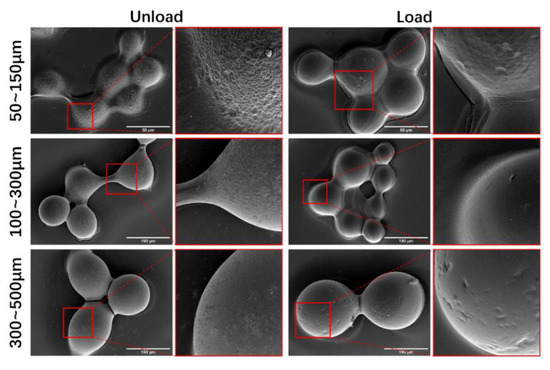 Optimized Loading of Idarubicin in CalliSpheres® Drug-Eluting Beads and ...