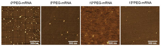 PEGylation of mRNA by Hybridization of Complementary PEG-RNA ...