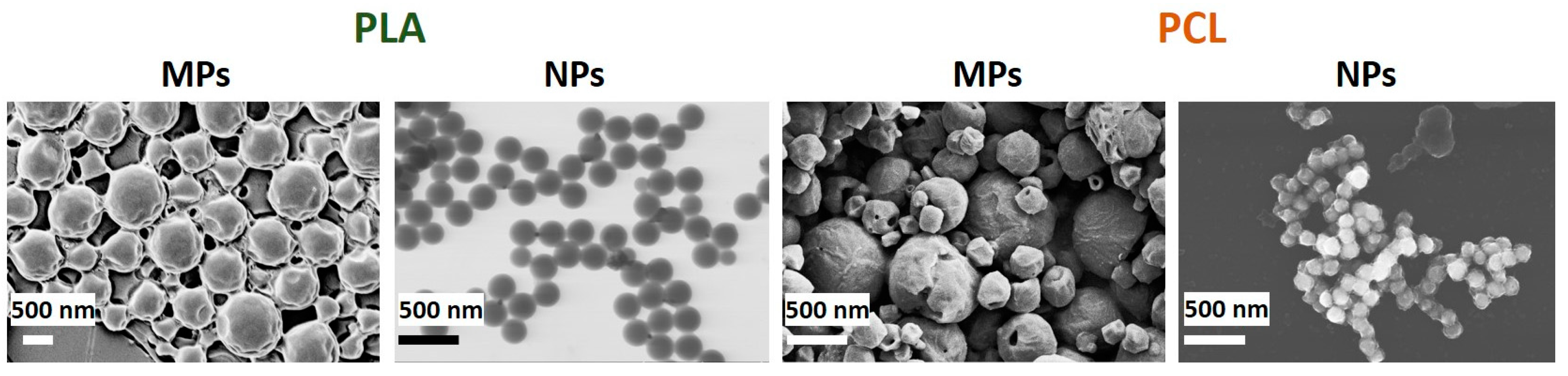 Pharmaceutics | Free Full-Text | Effect of Poly(L-lysine) and Heparin ...