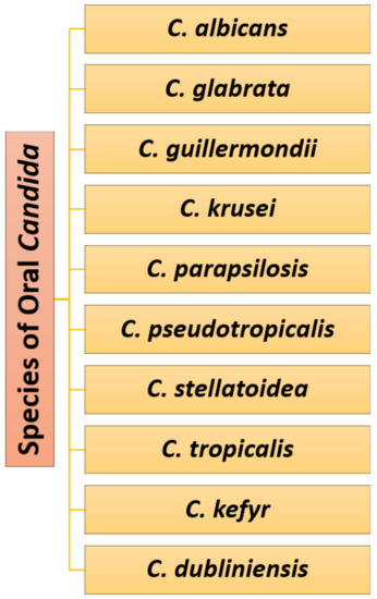 Biomaterials for the Prevention of Oral Candidiasis Development