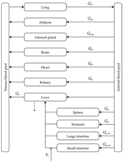 Development of Physiologically Based Pharmacokinetic Model for Orally ...